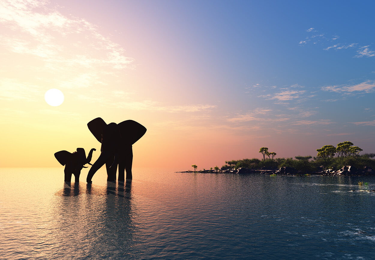 Cheap Flights to Africa - glooby